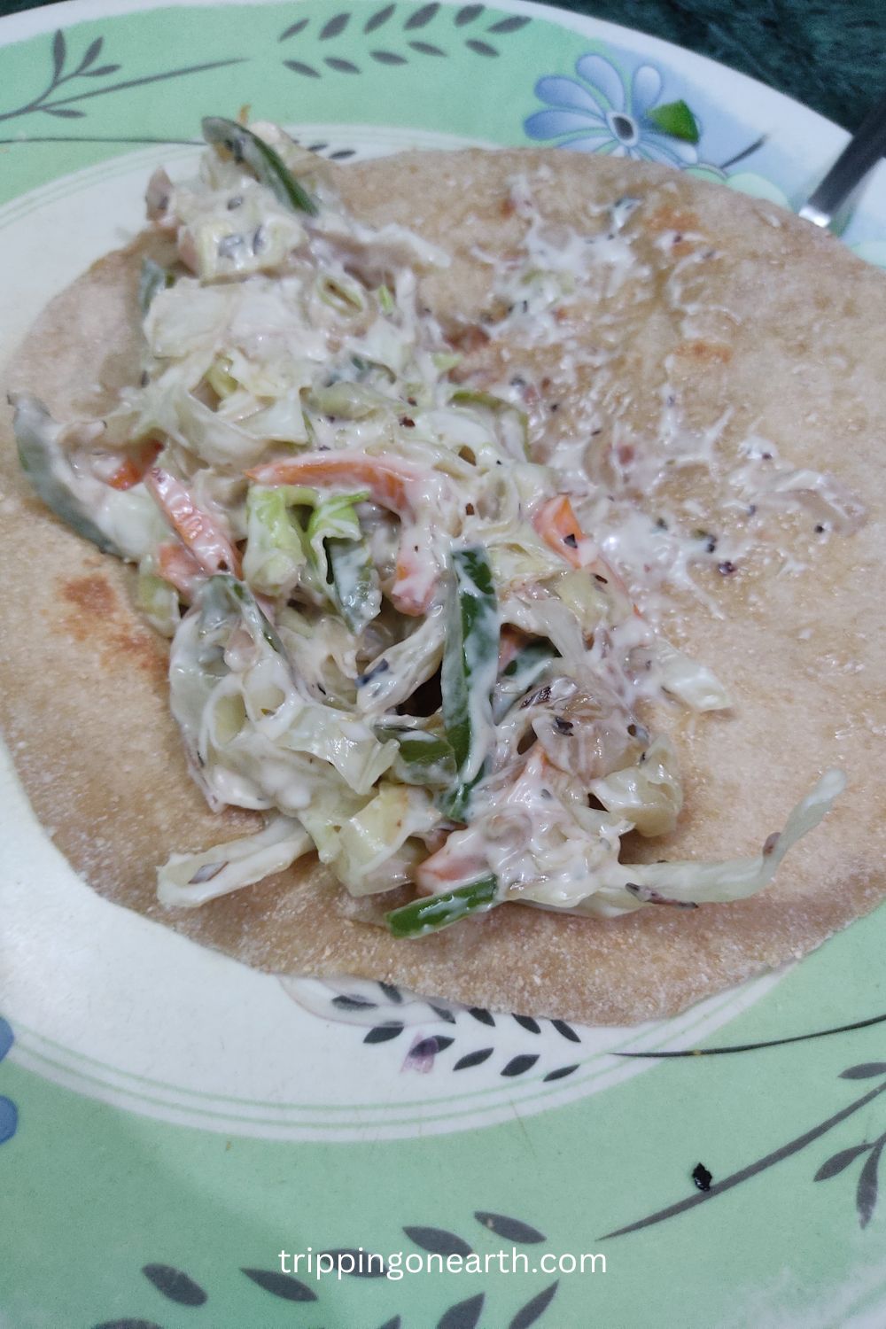 Veg Kathi Roll | Veg Frankie (in 10 Simple Steps!) - Tripping on Earth