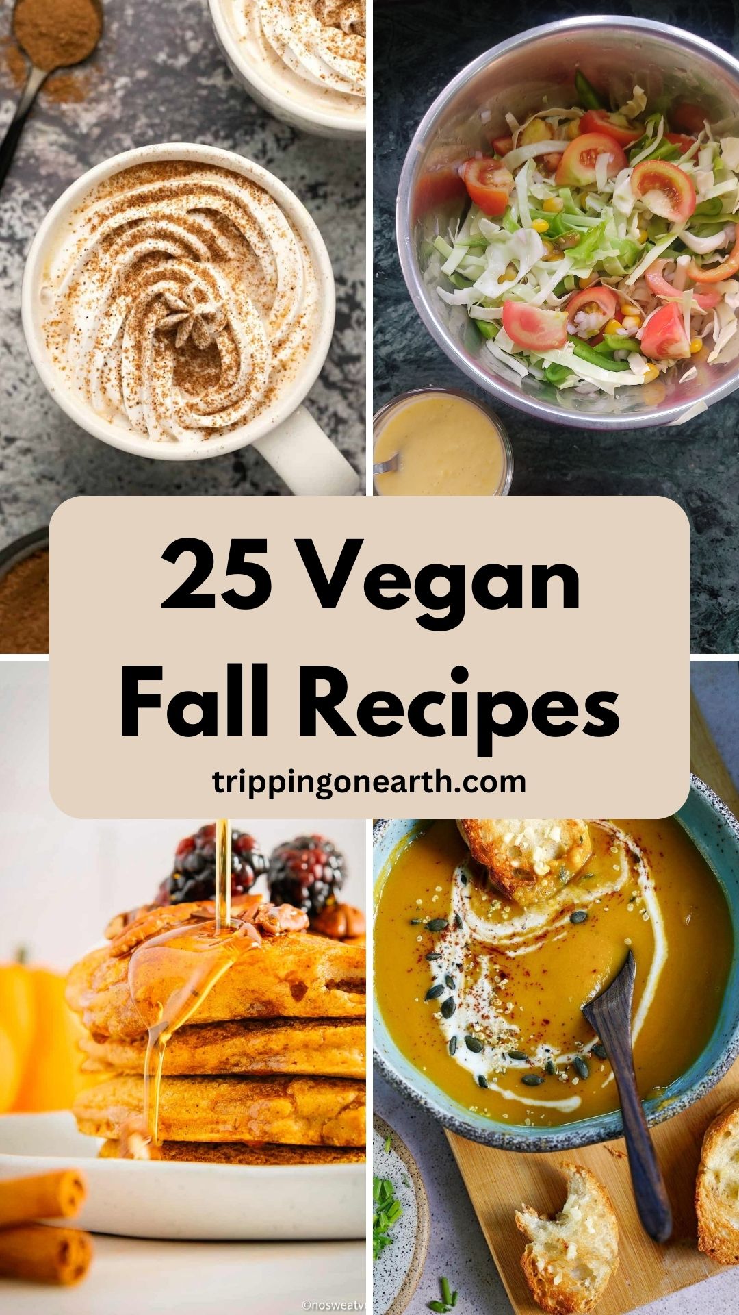 25 Vegan Fall Recipes For The Ultimate Cozy Experience - Tripping on Earth
