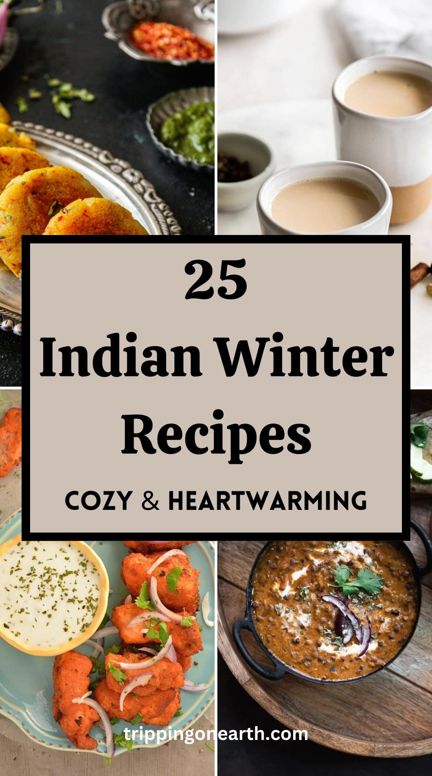25 Indian Winter Recipes ( Full of Heartwarming Flavors ) - Tripping on ...