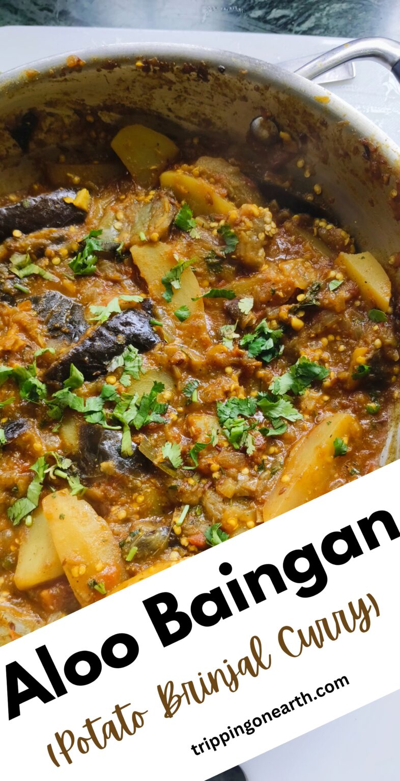 Aloo Baingan ( Potato Brinjal Curry ) - Tripping on Earth