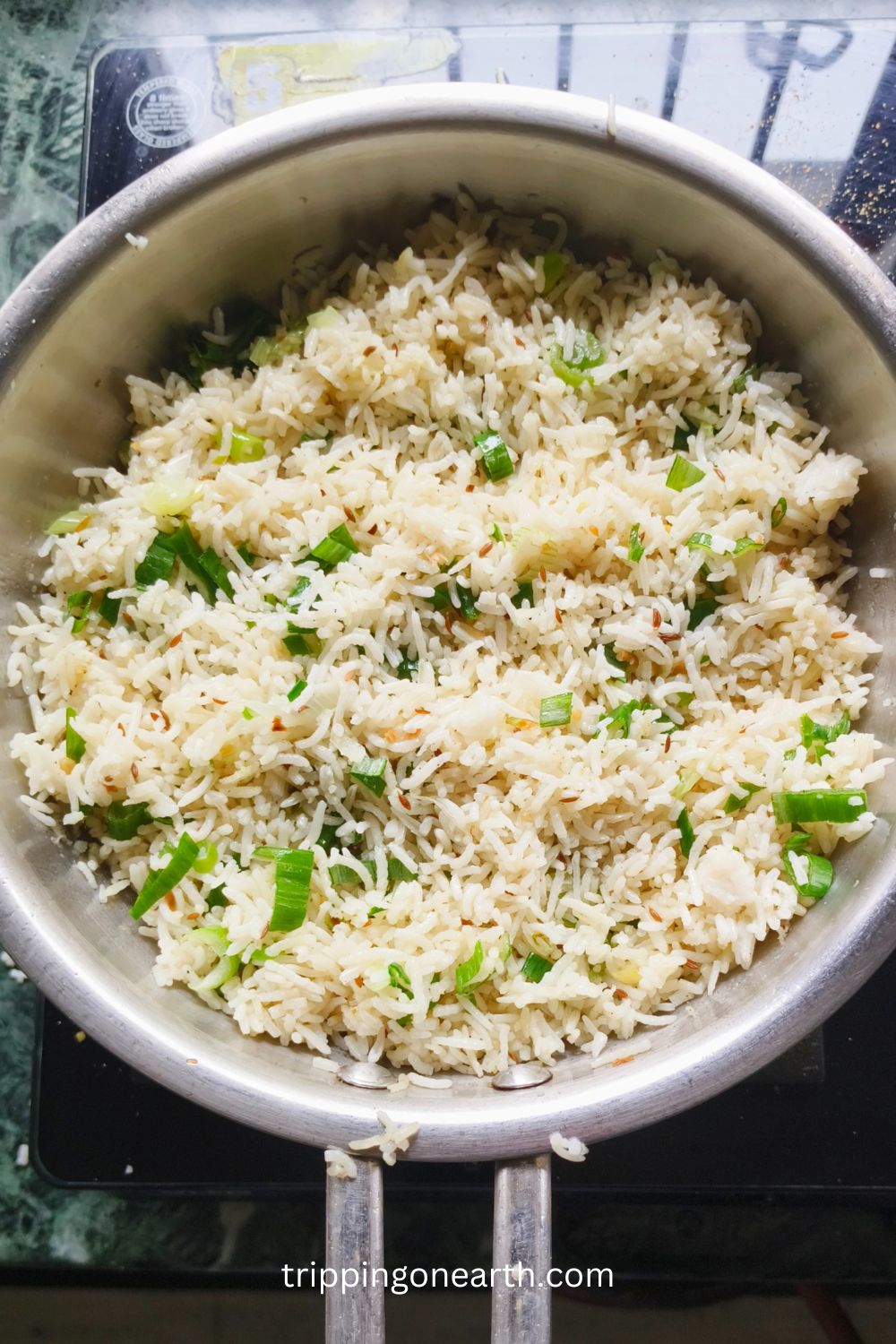 Filipino Garlic Fried Rice: Easy Authentic Sinangag Recipe - Tripping ...