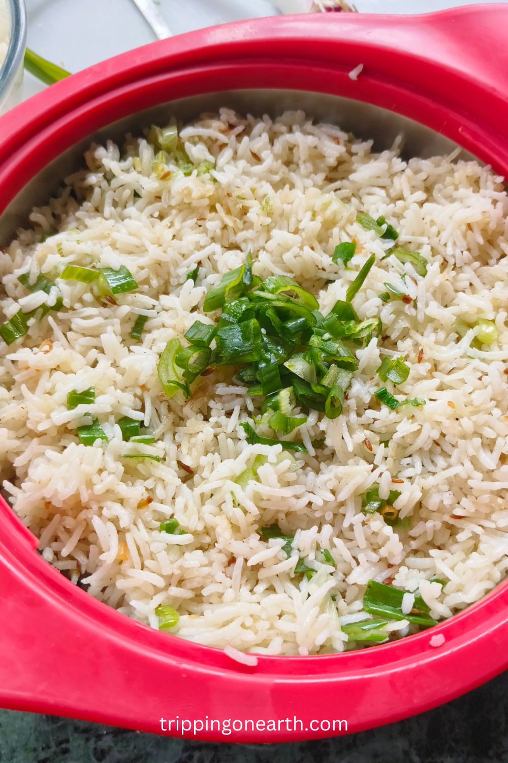 Filipino Garlic Fried Rice: Easy Authentic Sinangag Recipe - Tripping ...