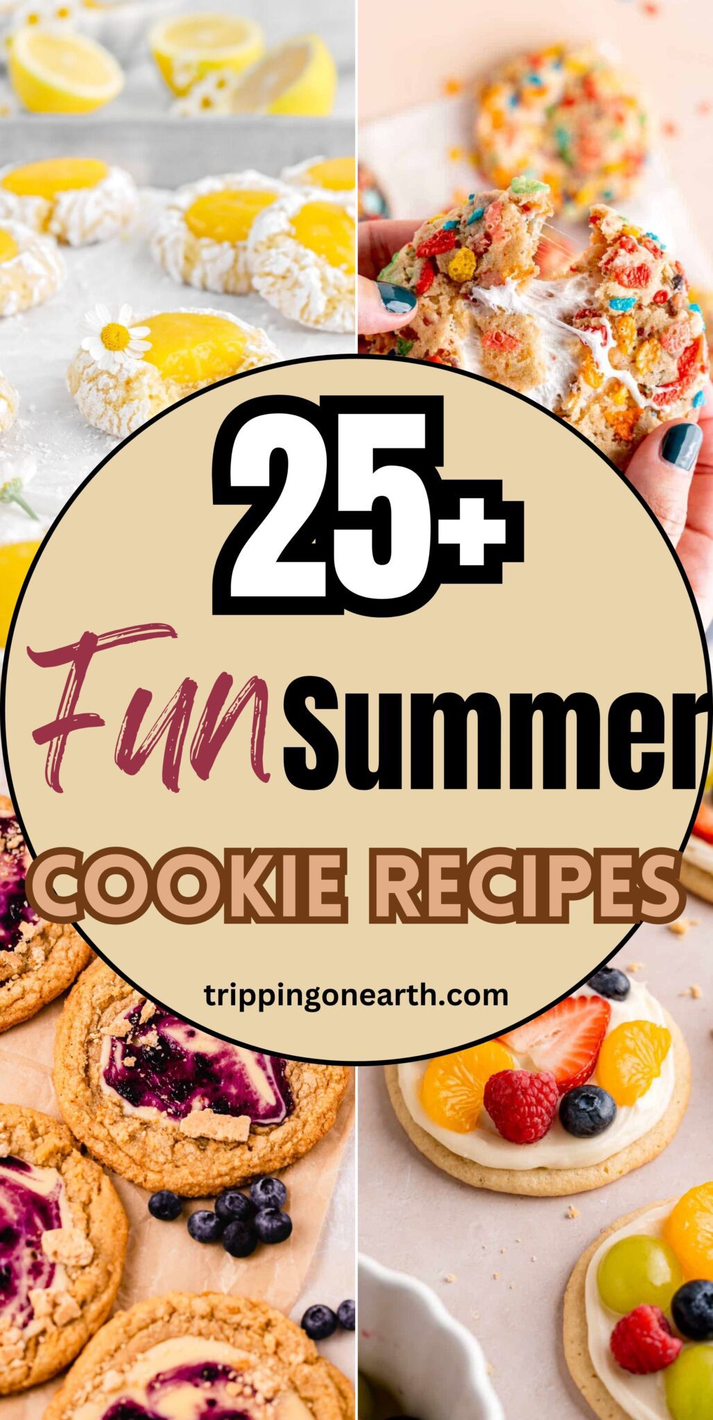 25+ Best Summer Cookie Recipes For Random Snack Attacks - Tripping on Earth