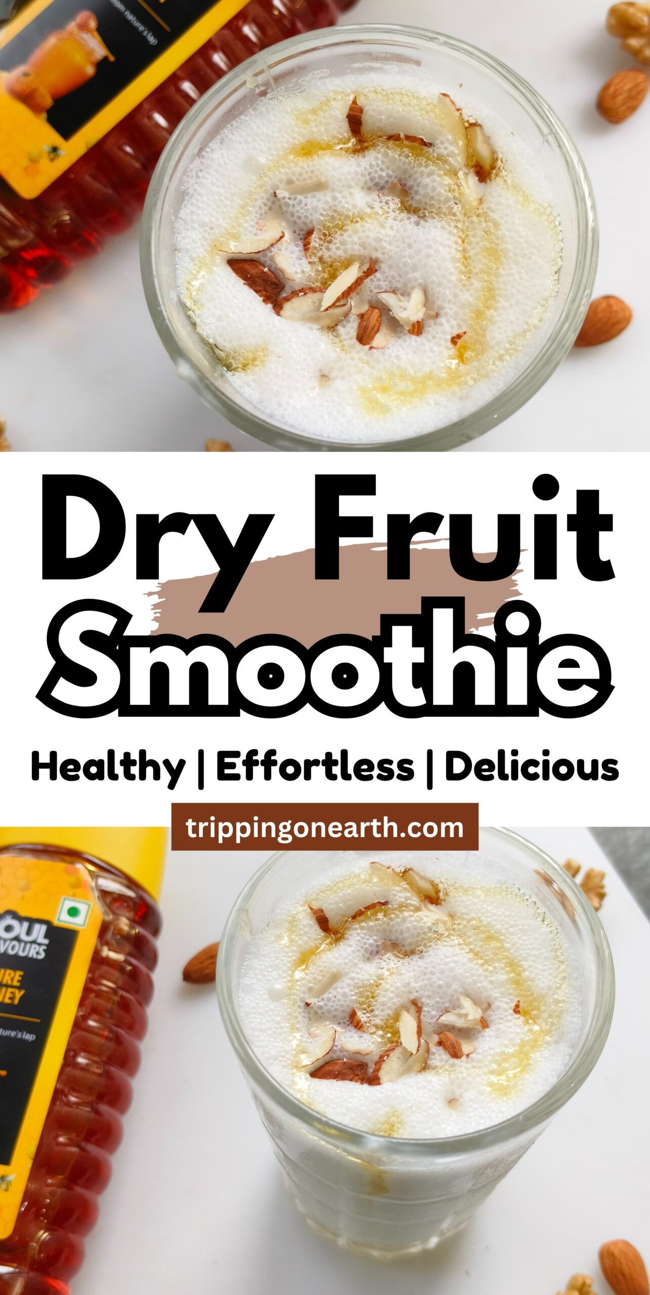 Healthy Dry Fruit Smoothie - Tripping on Earth