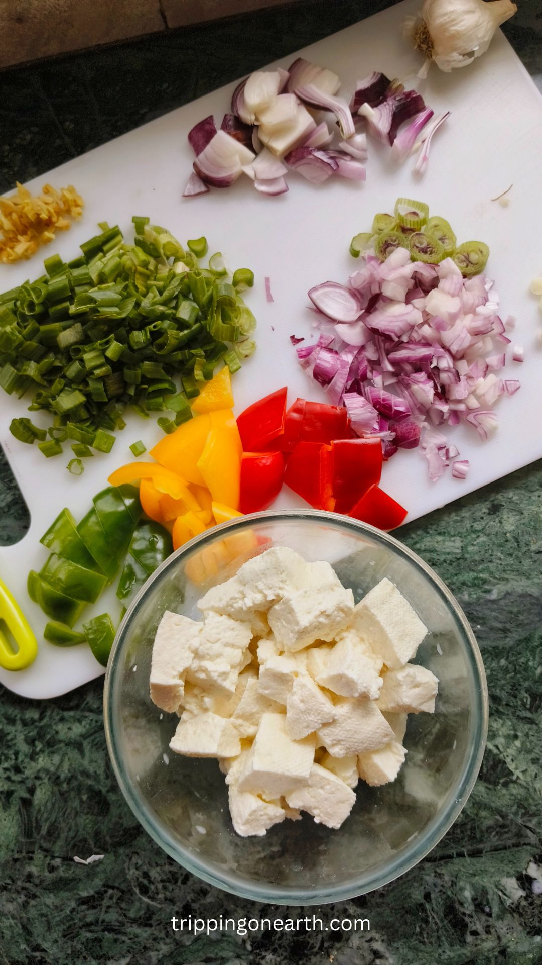 Paneer Chilli Masala: An Indo-Chinese Delicacy - Tripping on Earth