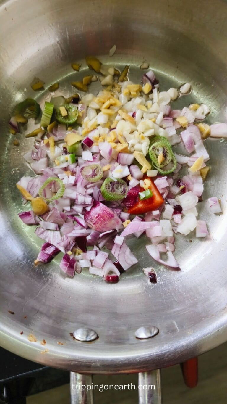 Paneer Chilli Masala: An Indo-Chinese Delicacy - Tripping on Earth