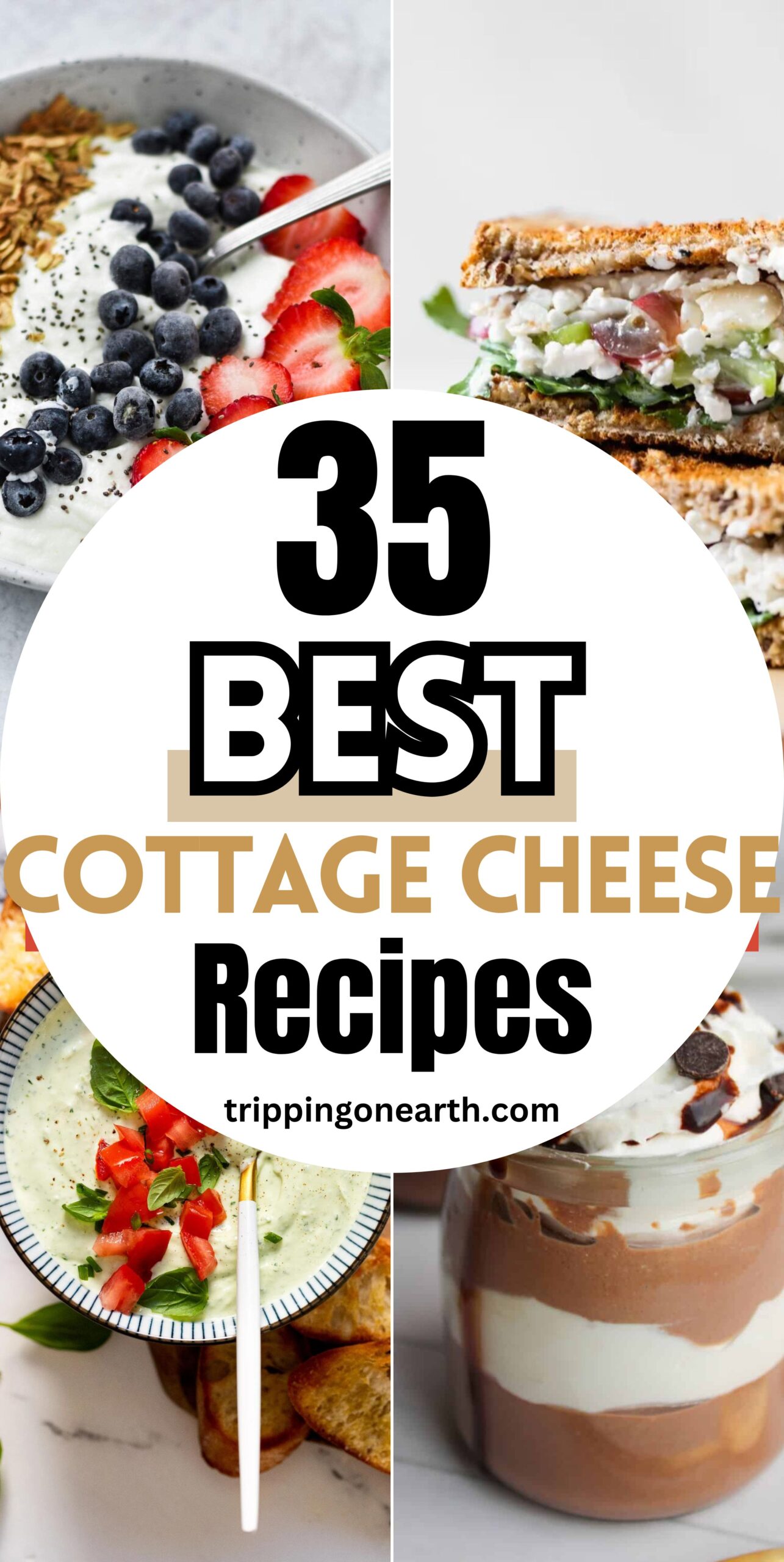 35 Best Cottage Cheese Recipes That You Must Try! - Tripping on Earth