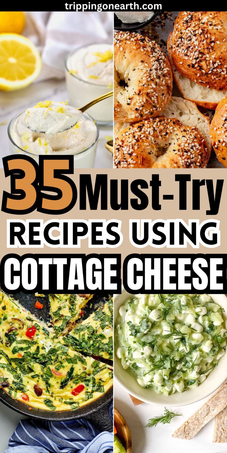 35 Best Cottage Cheese Recipes That You Must Try! - Tripping on Earth