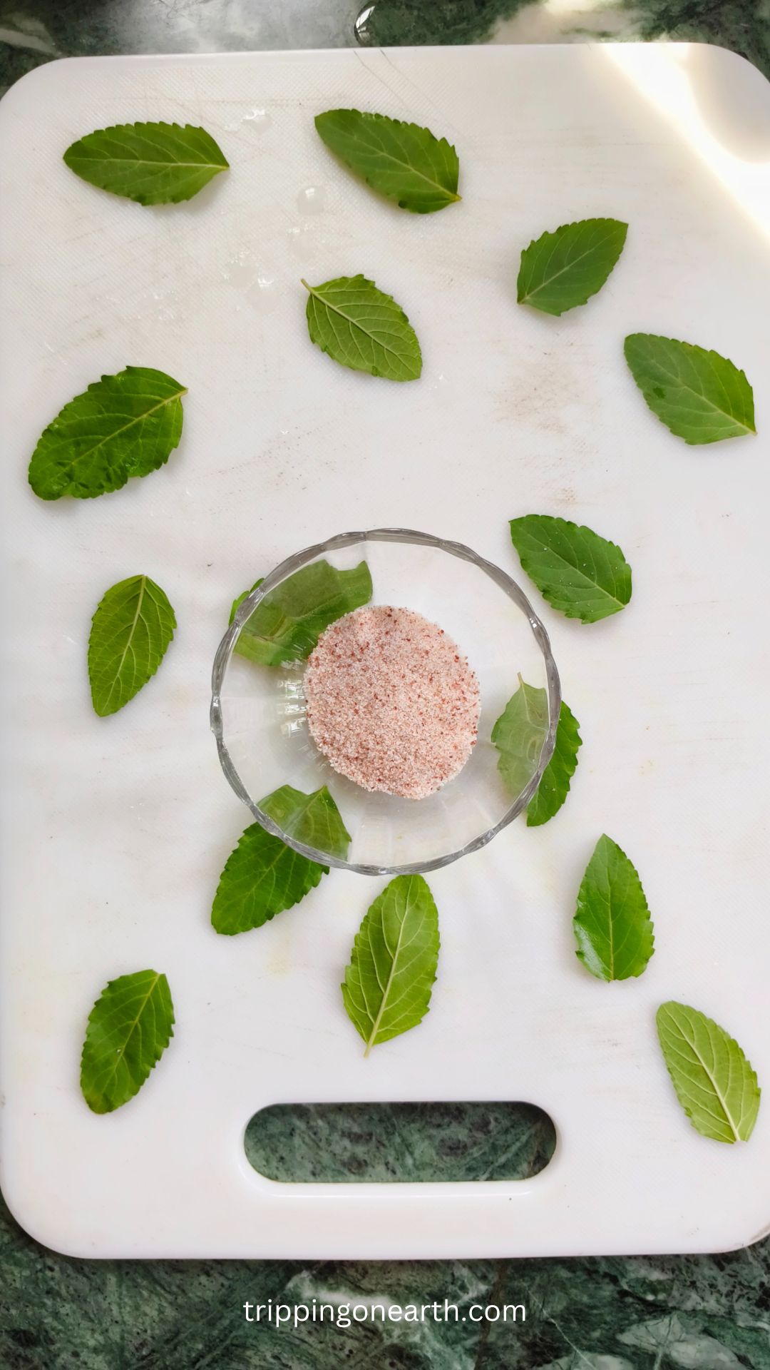 Quick & Easy Basil Salt Recipe - Tripping on Earth