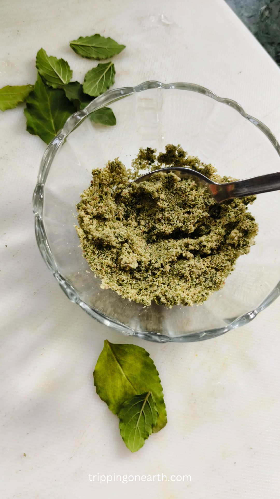 Quick & Easy Basil Salt Recipe - Tripping on Earth