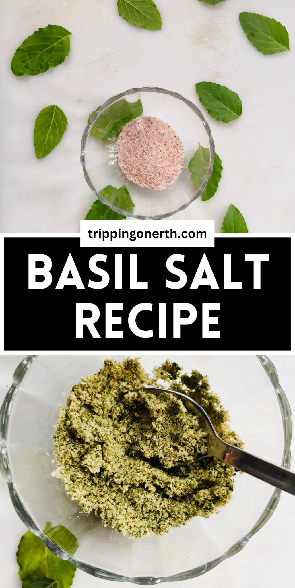 Quick & Easy Basil Salt Recipe - Tripping on Earth