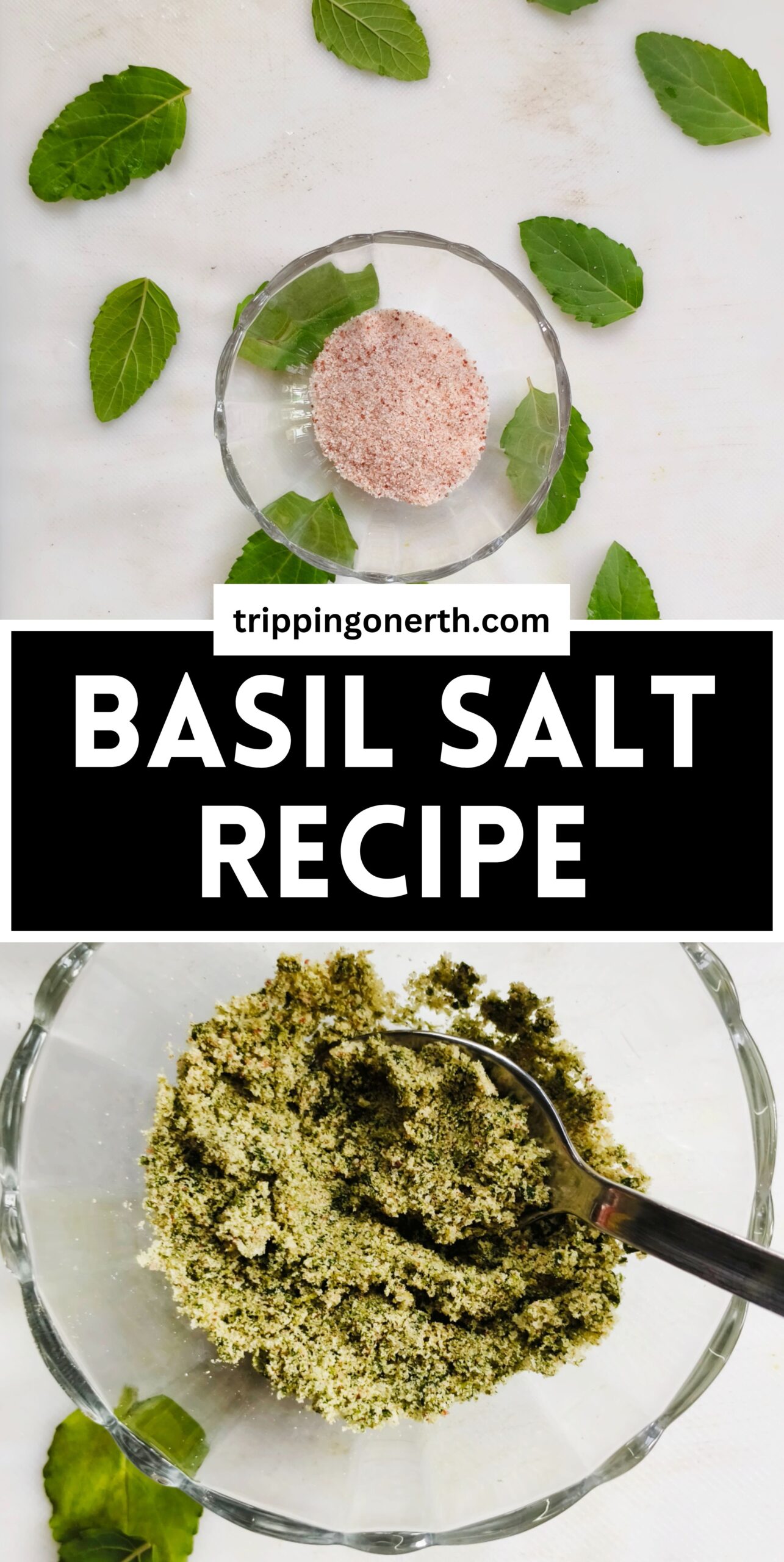 Quick & Easy Basil Salt Recipe - Tripping on Earth