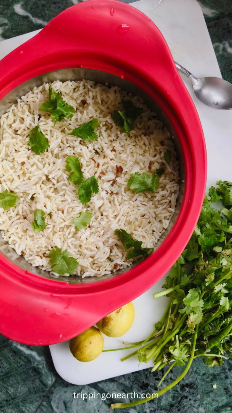 Ginger Rice Recipe - Tripping on Earth