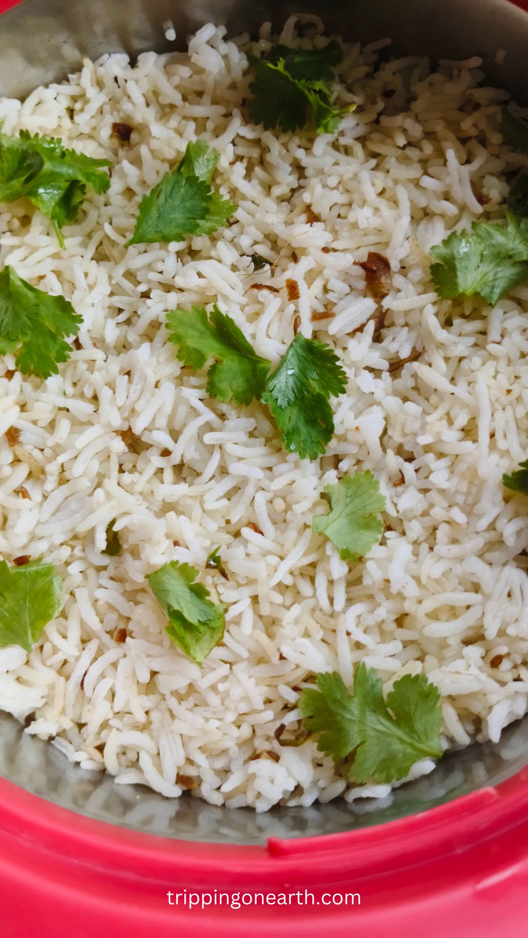 Ginger Rice Recipe - Tripping on Earth