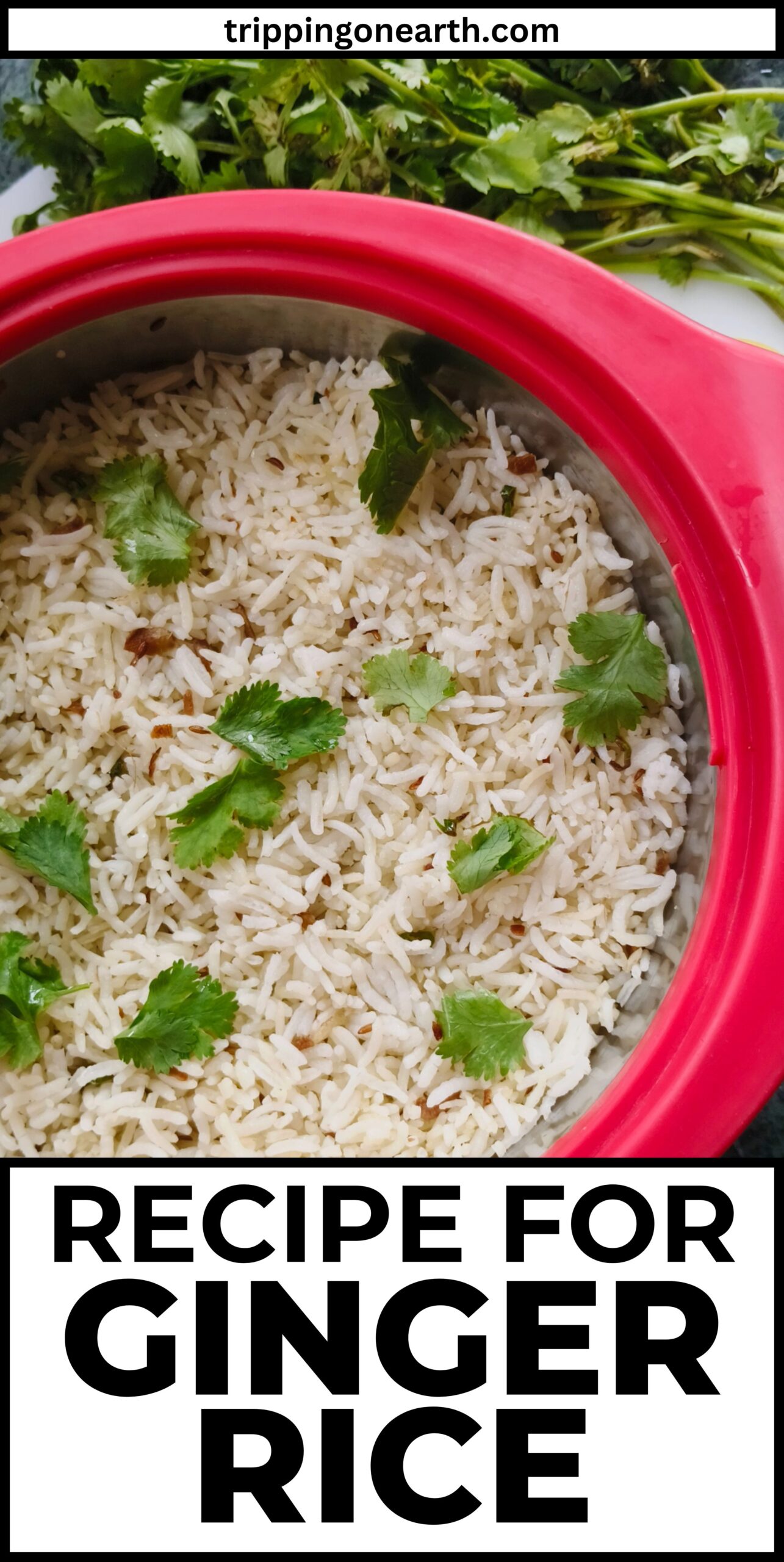 Ginger Rice Recipe - Tripping on Earth