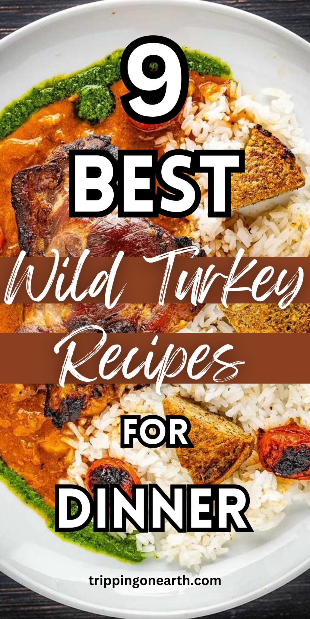 9 Wild Turkey Recipes To Cook For A Hearty Dinner - Tripping on Earth