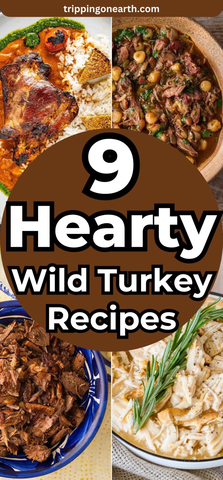 9 Wild Turkey Recipes To Cook For A Hearty Dinner - Tripping on Earth