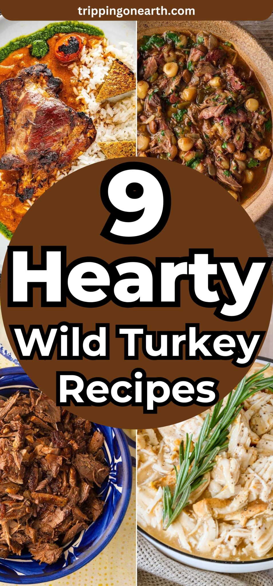 9 Wild Turkey Recipes To Cook For A Hearty Dinner - Tripping on Earth